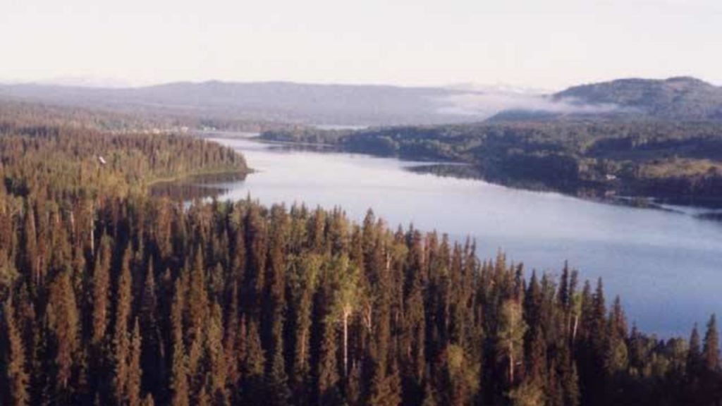 Lake Babine Nation – Capacity Forest Management Ltd.